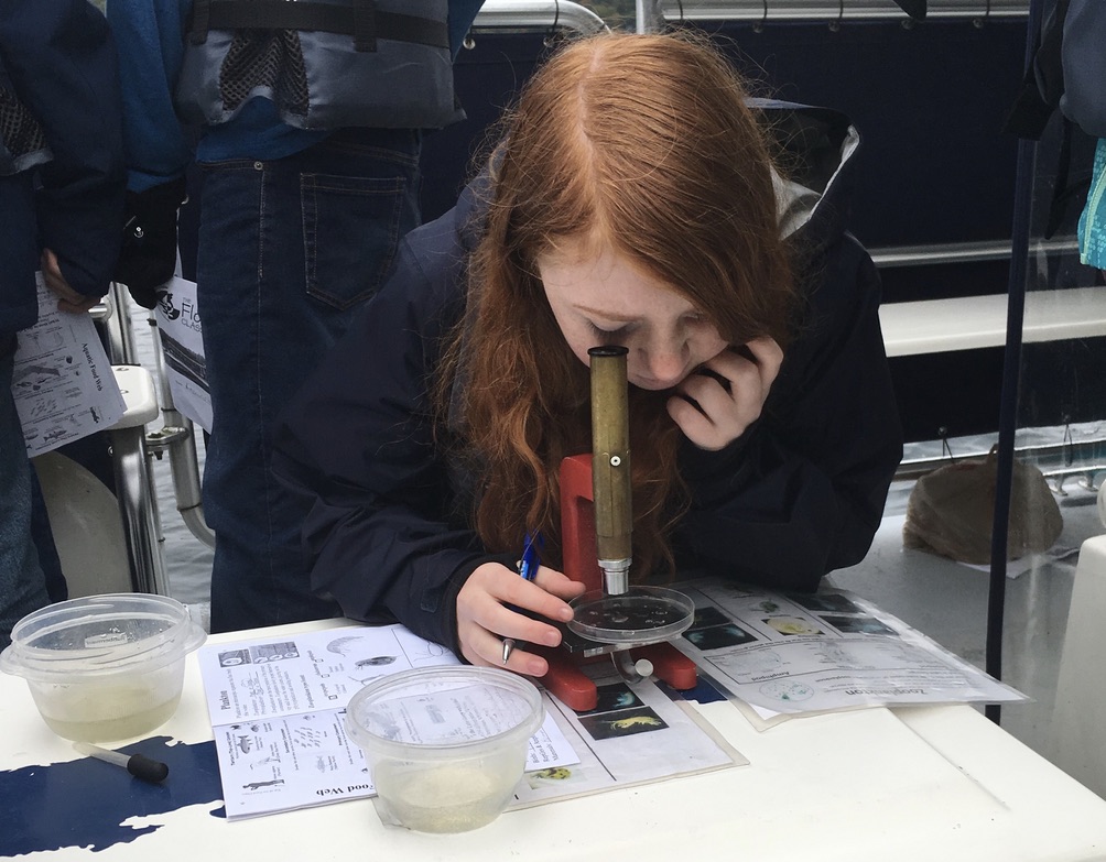 NGSS Rubrics and Assessment Kits: Applying Practical Educational ...